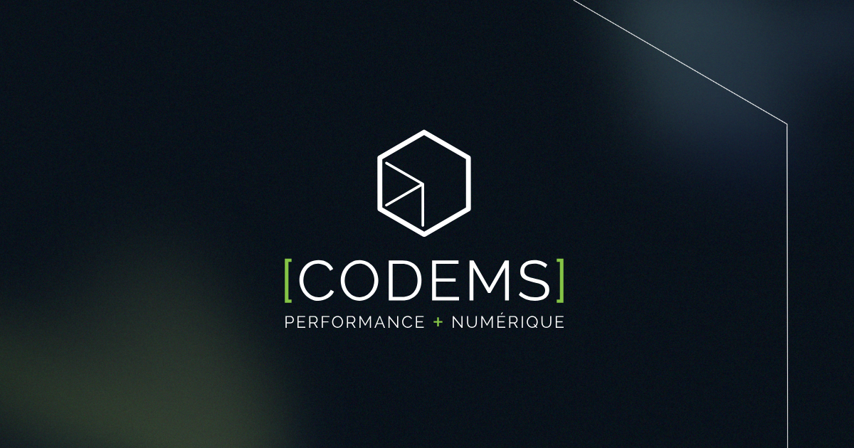 Stratégie & intelligence numérique | Codems – Blainville